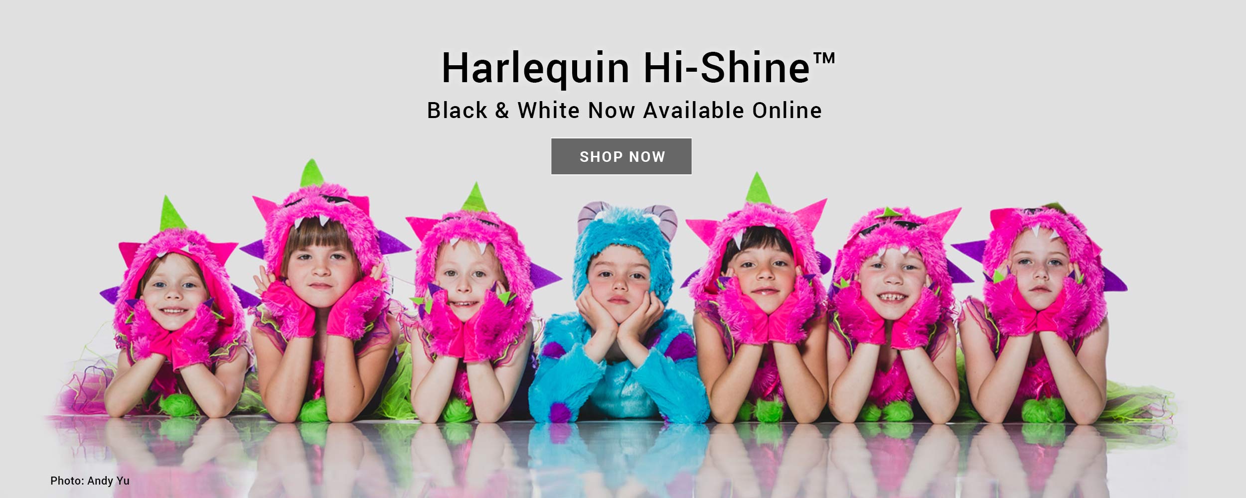 Floors for Dance, Theater, Stage and Entertainment | Harlequin Floors
